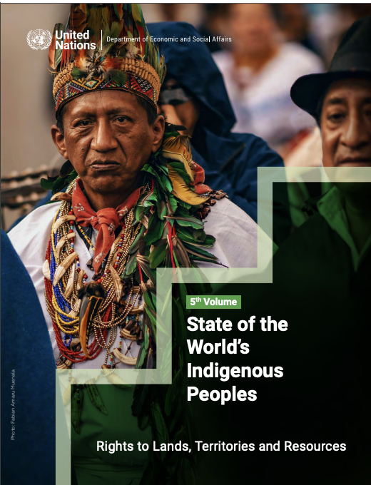 UN's report raises concerns on rights of indigenous people in India ...