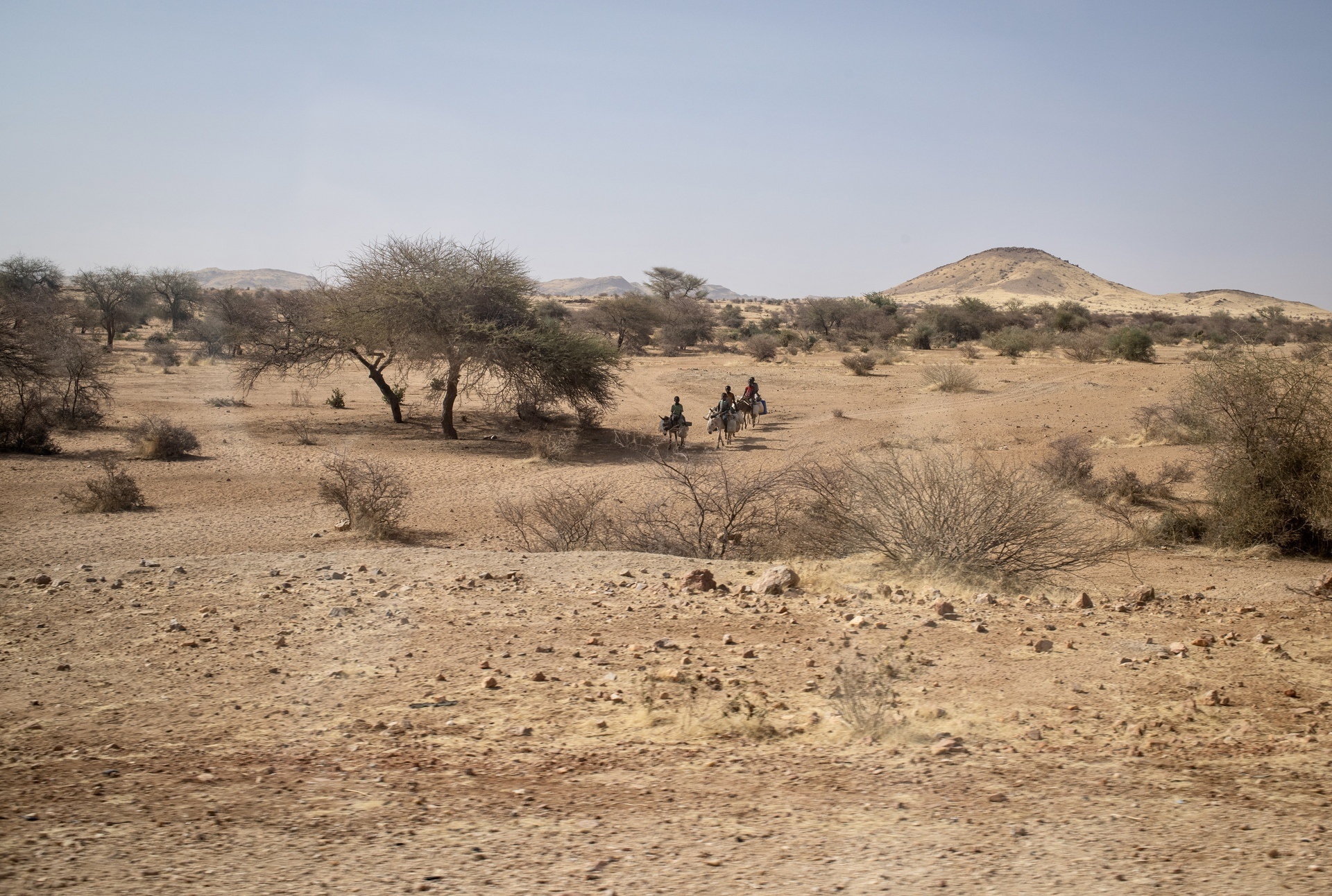 Hunger reaches concerning levels in NENA region