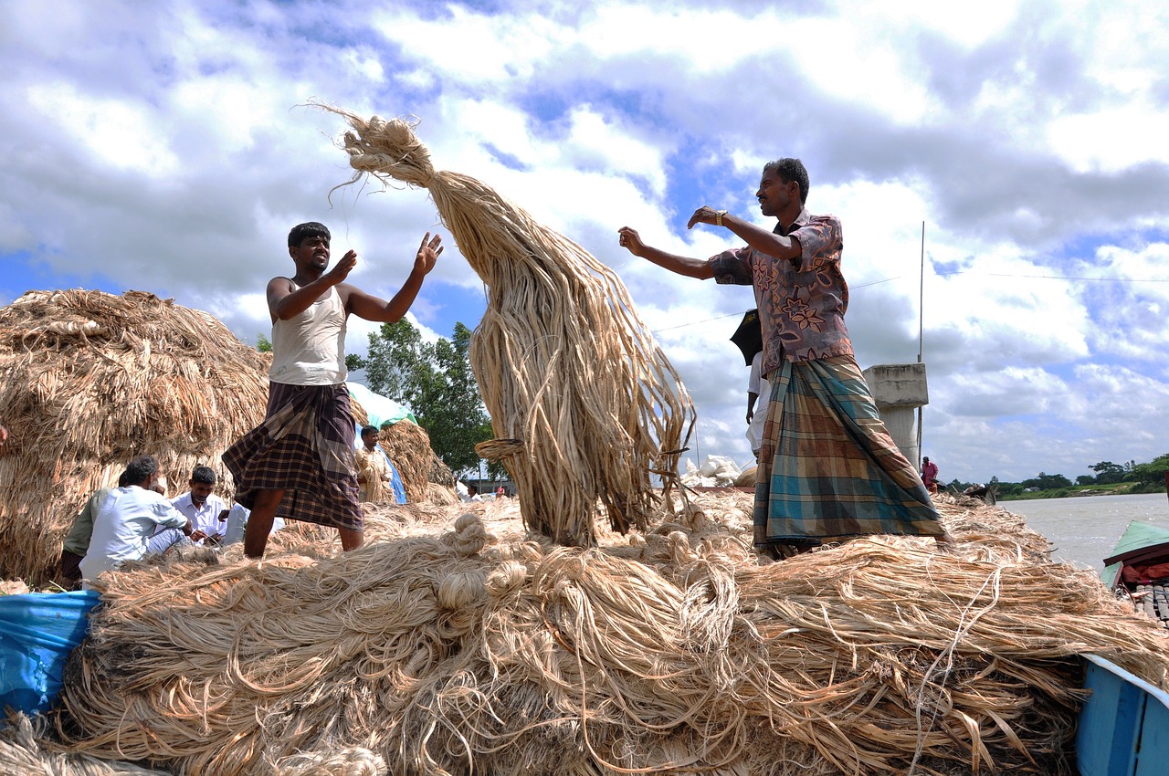 Cabinet approves MSP for Raw Jute for 2025-26 Season